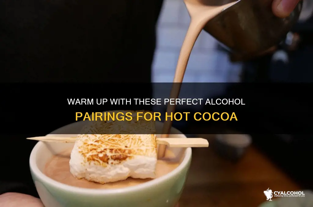 Warm Up With These Perfect Alcohol Pairings For Hot Cocoa | CyAlcohol