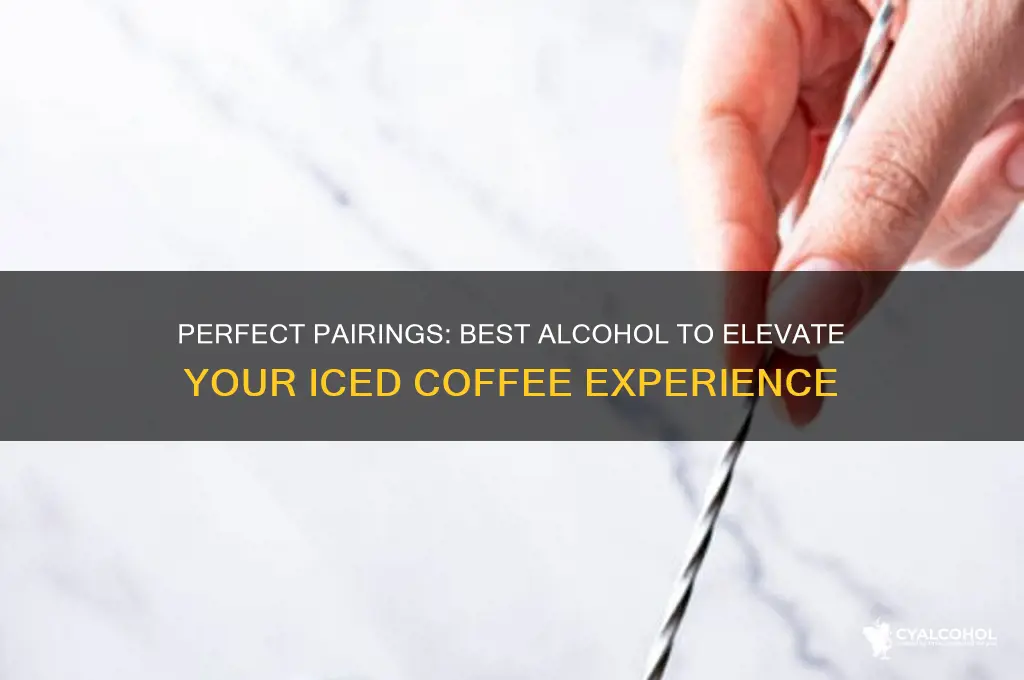 Perfect Pairings: Best Alcohol To Elevate Your Iced Coffee Experience ...