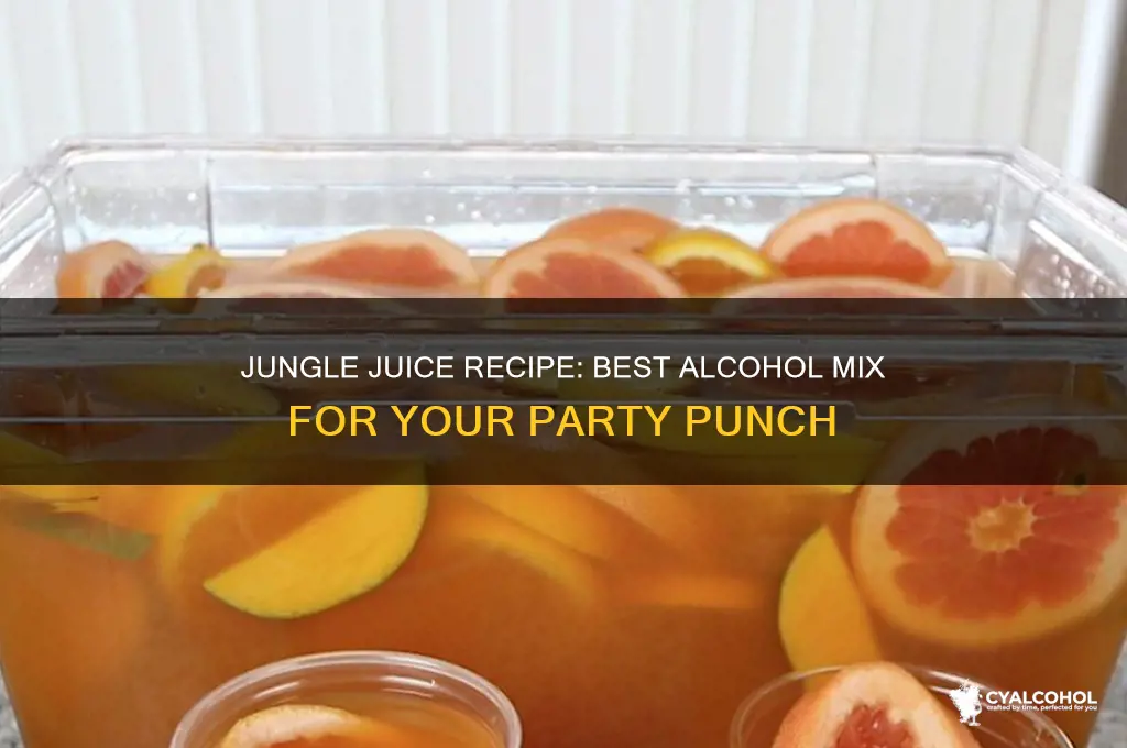 Jungle Juice Recipe: Best Alcohol Mix For Your Party Punch | CyAlcohol