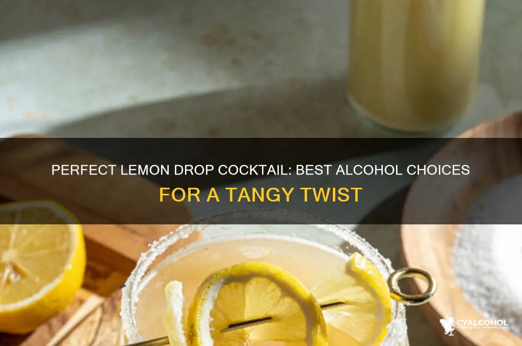 Perfect Lemon Drop Cocktail: Best Alcohol Choices For A Tangy Twist ...