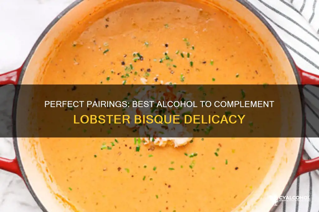 Perfect Pairings: Best Alcohol To Complement Lobster Bisque Delicacy ...