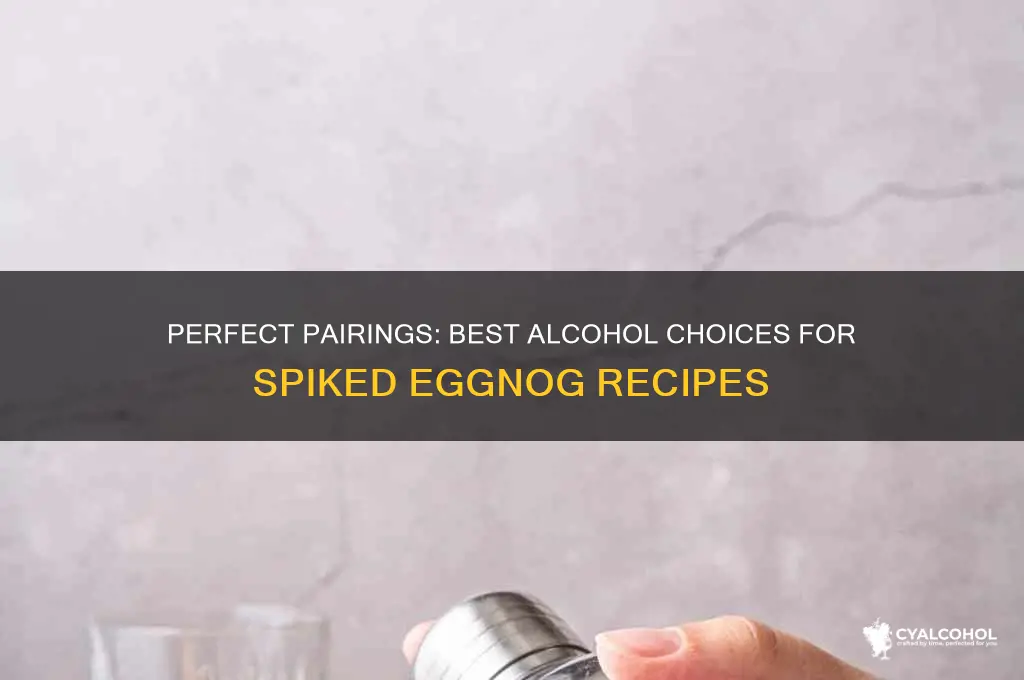 Perfect Pairings: Best Alcohol Choices For Spiked Eggnog Recipes ...
