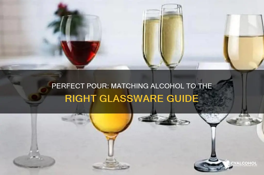 Perfect Pour: Matching Alcohol To The Right Glassware Guide | CyAlcohol