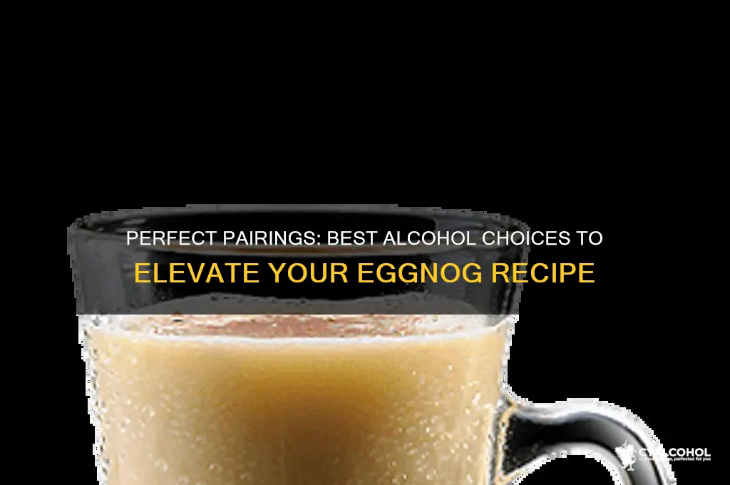 Perfect Pairings: Best Alcohol Choices To Elevate Your Eggnog Recipe ...