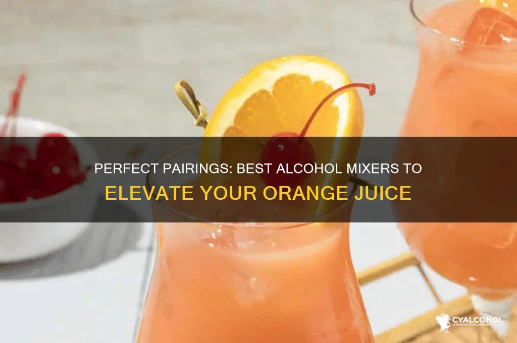 Perfect Pairings: Best Alcohol Mixers To Elevate Your Orange Juice ...