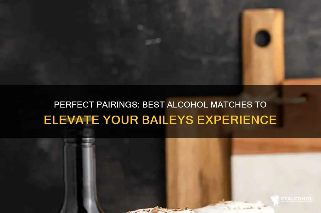 Perfect Pairings: Best Alcohol Matches To Elevate Your Baileys ...