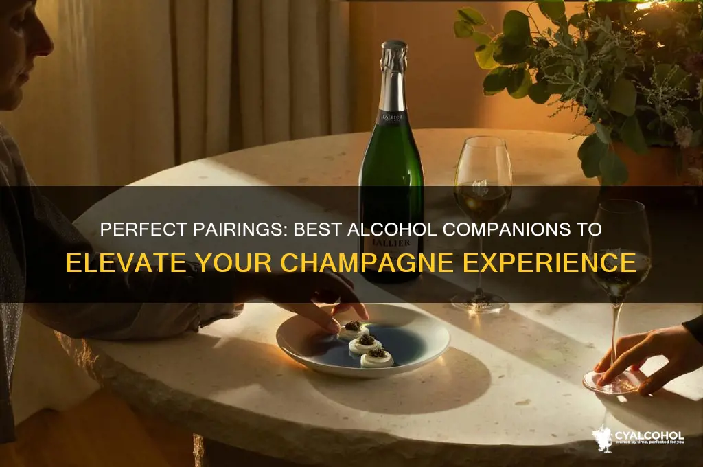 Perfect Pairings: Best Alcohol Companions To Elevate Your Champagne ...
