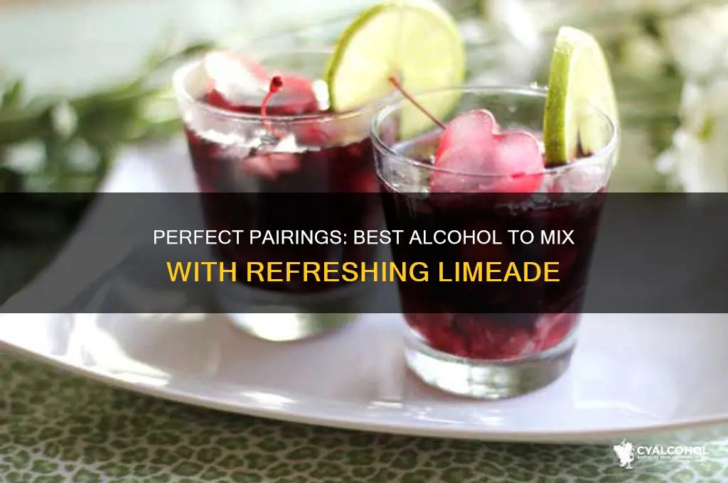 Perfect Pairings: Best Alcohol To Mix With Refreshing Limeade | CyAlcohol