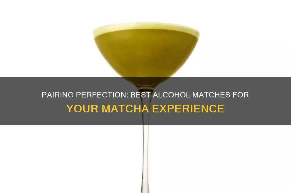 Pairing Perfection: Best Alcohol Matches For Your Matcha Experience ...