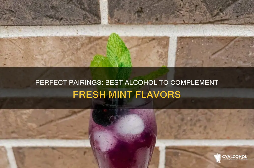 Perfect Pairings: Best Alcohol To Complement Fresh Mint Flavors | CyAlcohol