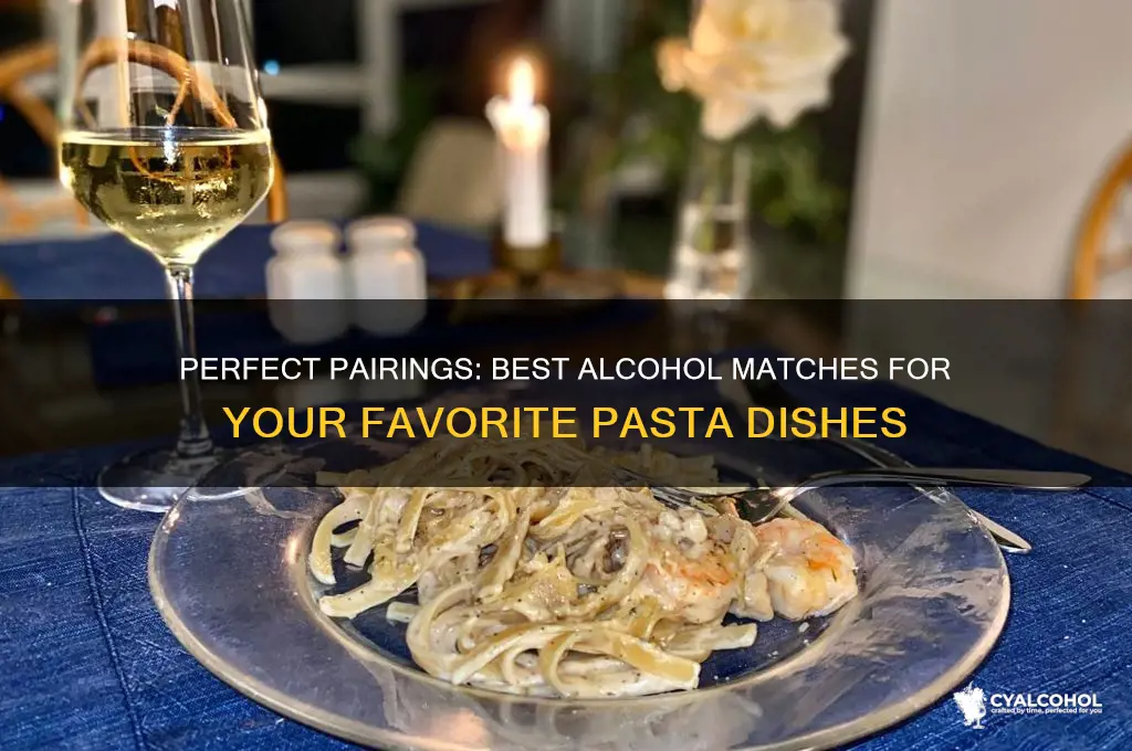 Perfect Pairings: Best Alcohol Matches For Your Favorite Pasta Dishes ...