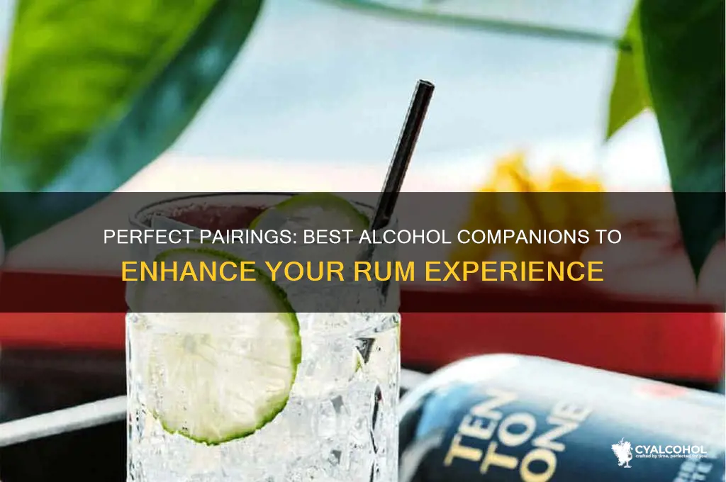 Perfect Pairings: Best Alcohol Companions To Enhance Your Rum ...