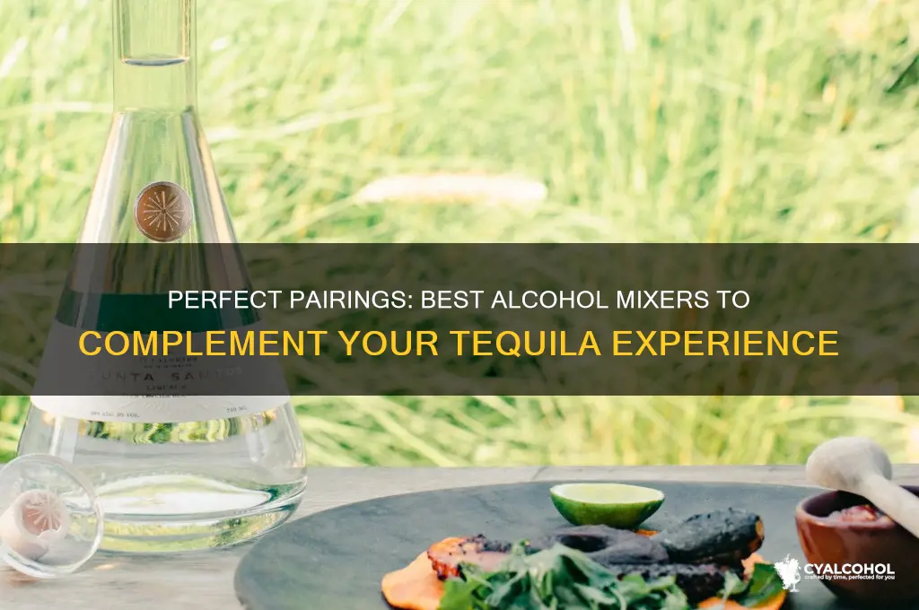 Perfect Pairings: Best Alcohol Mixers To Complement Your Tequila ...