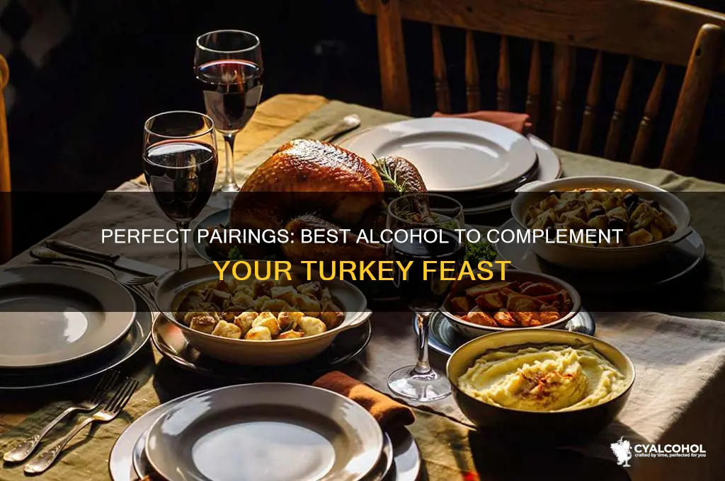 Perfect Pairings: Best Alcohol To Complement Your Turkey Feast | CyAlcohol