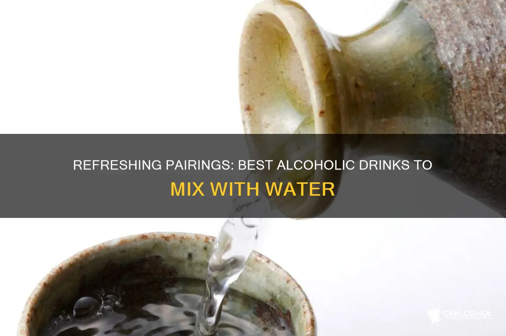 Refreshing Pairings: Best Alcoholic Drinks To Mix With Water | CyAlcohol