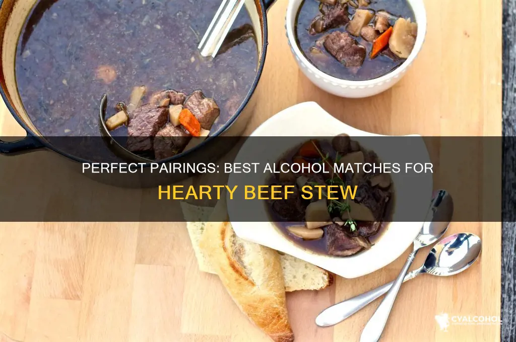 Perfect Pairings: Best Alcohol Matches For Hearty Beef Stew | CyAlcohol