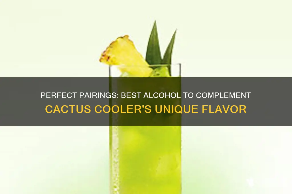Perfect Pairings: Best Alcohol To Complement Cactus Cooler's Unique ...