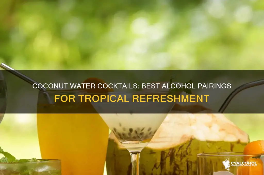 Coconut Water Cocktails: Best Alcohol Pairings For Tropical Refreshment ...