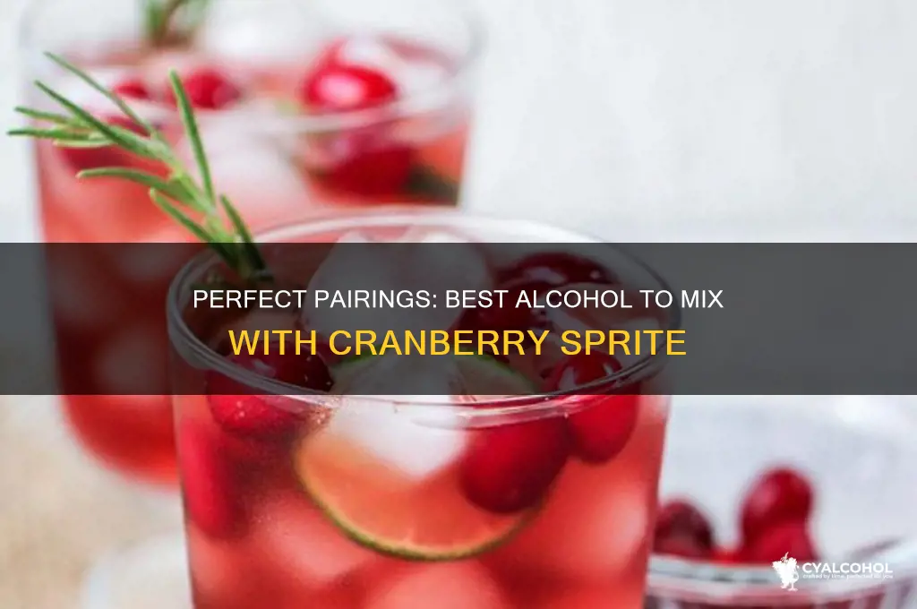 Perfect Pairings: Best Alcohol To Mix With Cranberry Sprite | CyAlcohol