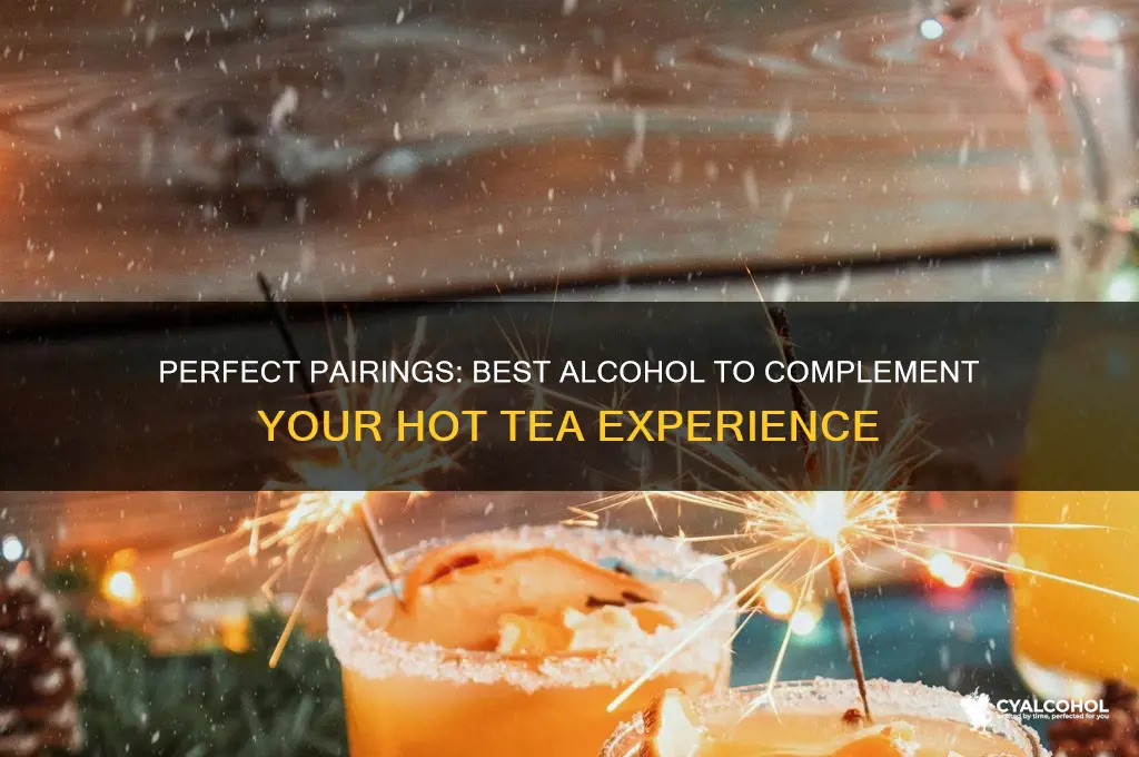 Perfect Pairings: Best Alcohol To Complement Your Hot Tea Experience ...