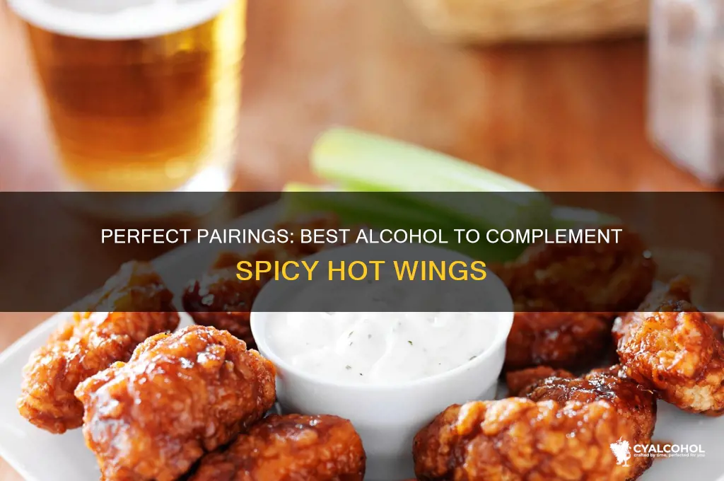 Perfect Pairings: Best Alcohol To Complement Spicy Hot Wings | CyAlcohol