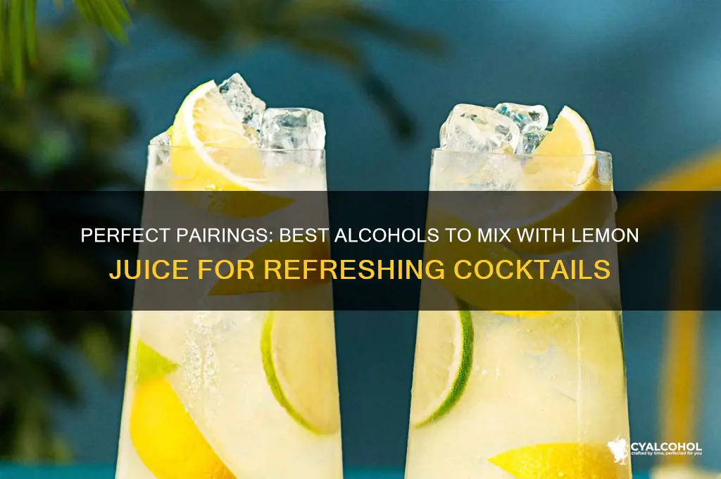 Perfect Pairings: Best Alcohols To Mix With Lemon Juice For Refreshing ...