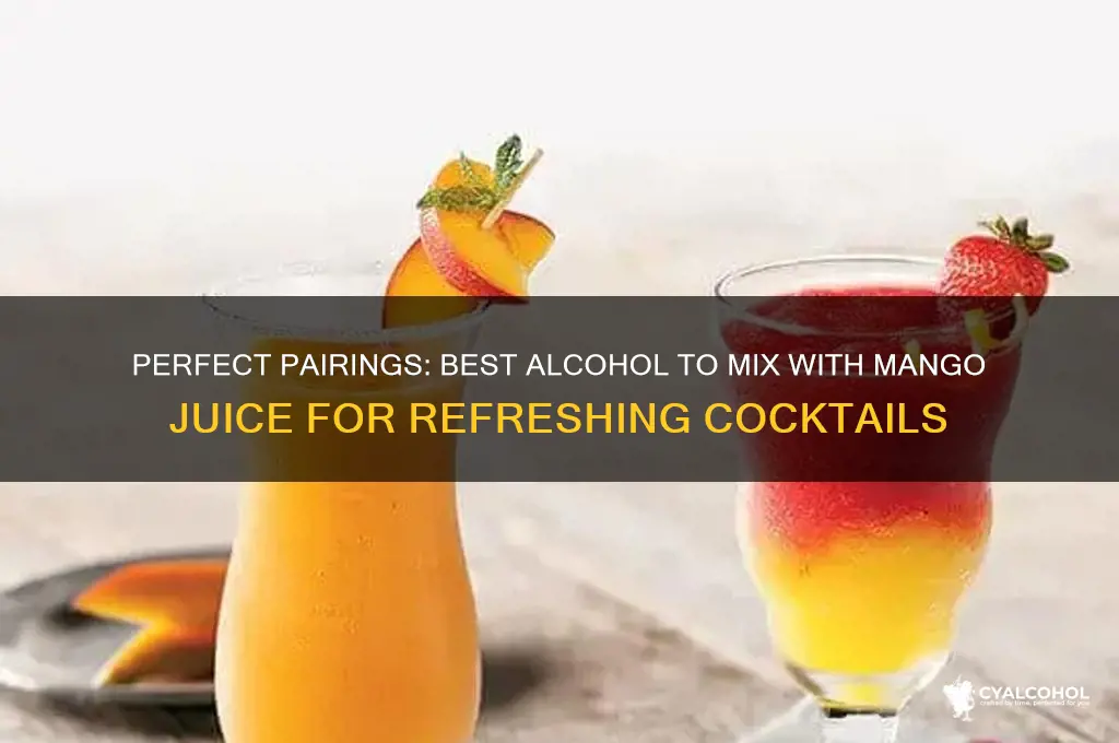 Perfect Pairings: Best Alcohol To Mix With Mango Juice For Refreshing ...