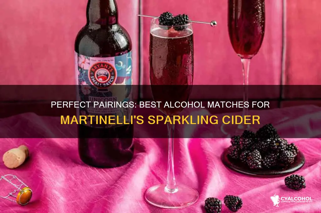 Perfect Pairings: Best Alcohol Matches For Martinelli's Sparkling Cider ...