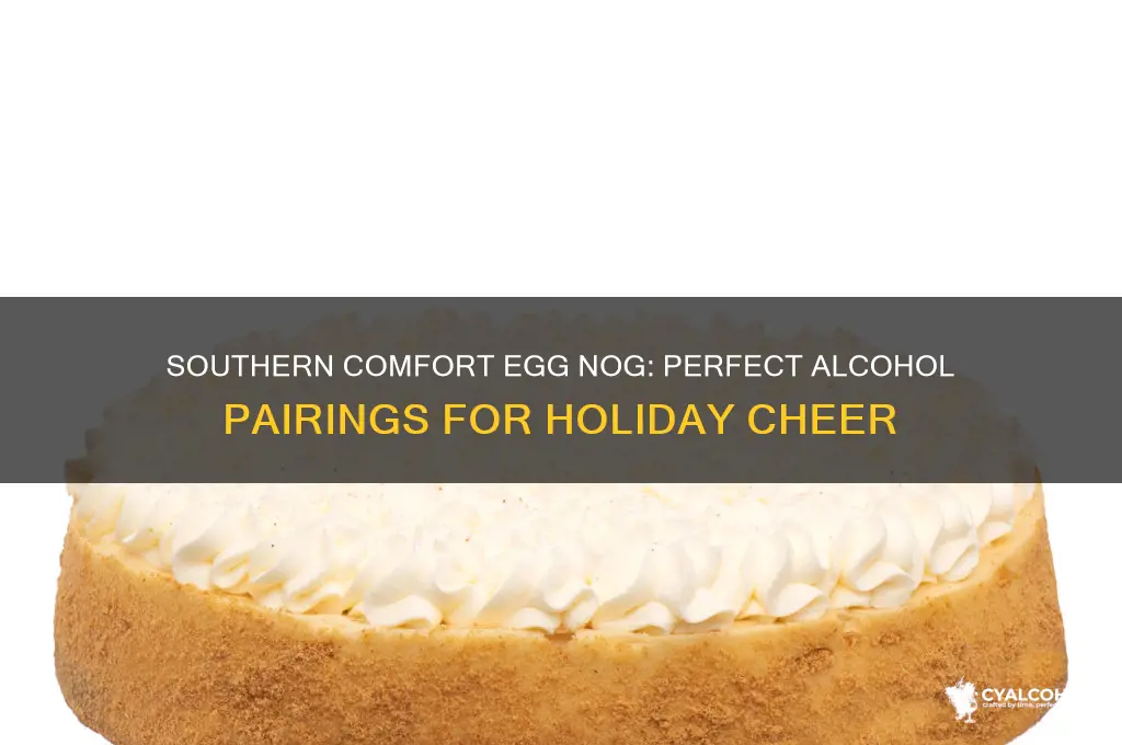 Southern Comfort Egg Nog: Perfect Alcohol Pairings For Holiday Cheer ...