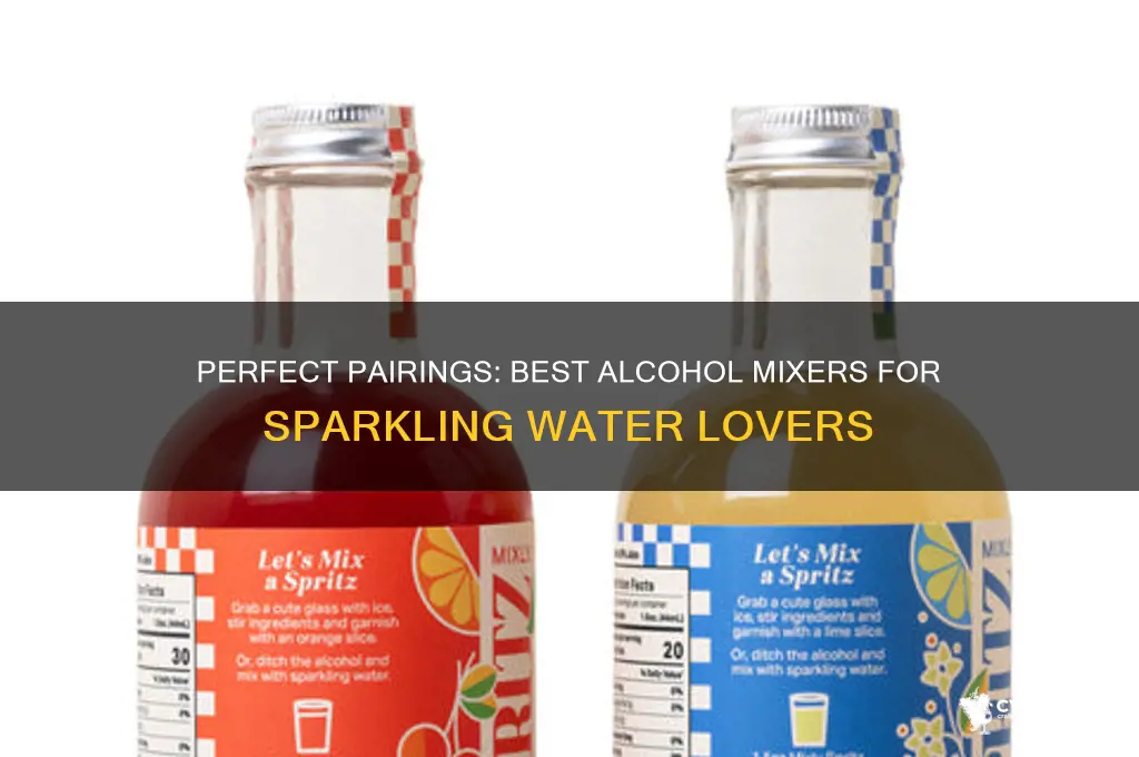 Perfect Pairings: Best Alcohol Mixers For Sparkling Water Lovers ...
