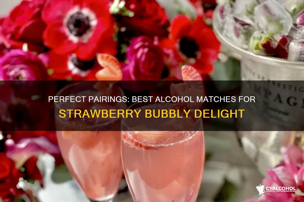 Perfect Pairings: Best Alcohol Matches For Strawberry Bubbly Delight ...