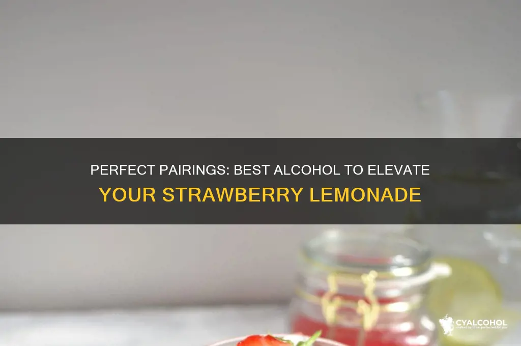 Perfect Pairings: Best Alcohol To Elevate Your Strawberry Lemonade ...