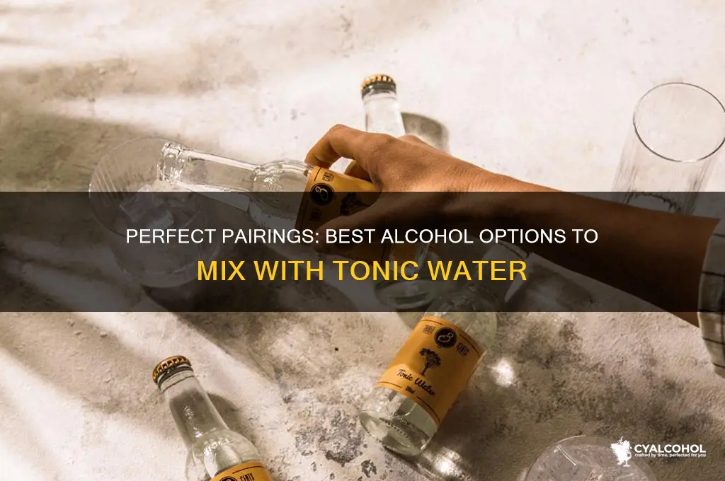 Perfect Pairings: Best Alcohol Options To Mix With Tonic Water | CyAlcohol