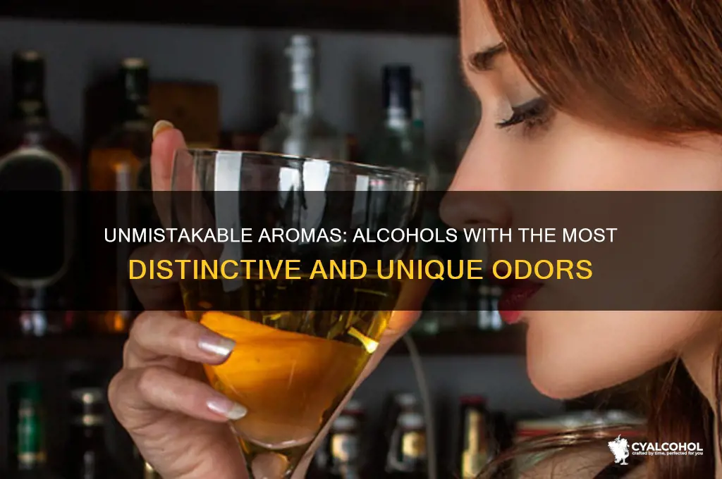 Unmistakable Aromas: Alcohols With The Most Distinctive And Unique ...