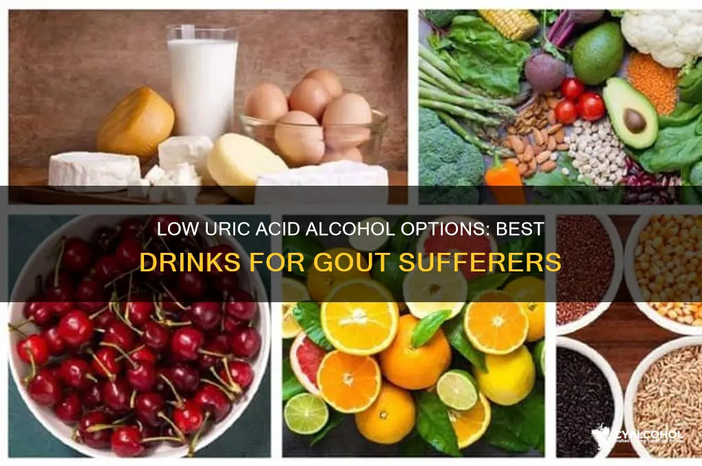 Low Uric Acid Alcohol Options: Best Drinks For Gout Sufferers | CyAlcohol