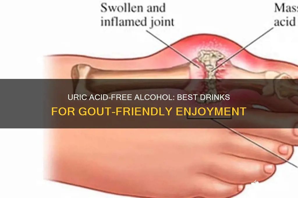 Uric Acid-Free Alcohol: Best Drinks For Gout-Friendly Enjoyment | CyAlcohol