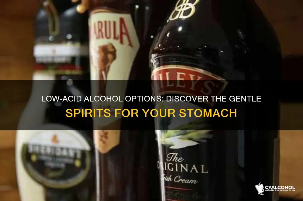 Low-Acid Alcohol Options: Discover The Gentle Spirits For Your Stomach ...