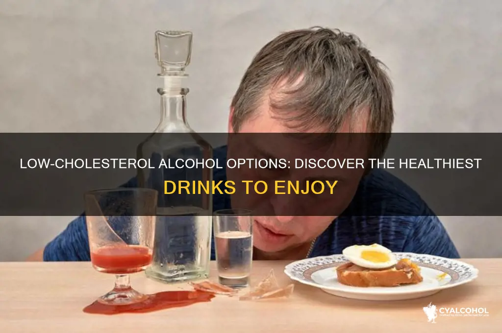 Low-Cholesterol Alcohol Options: Discover The Healthiest Drinks To ...