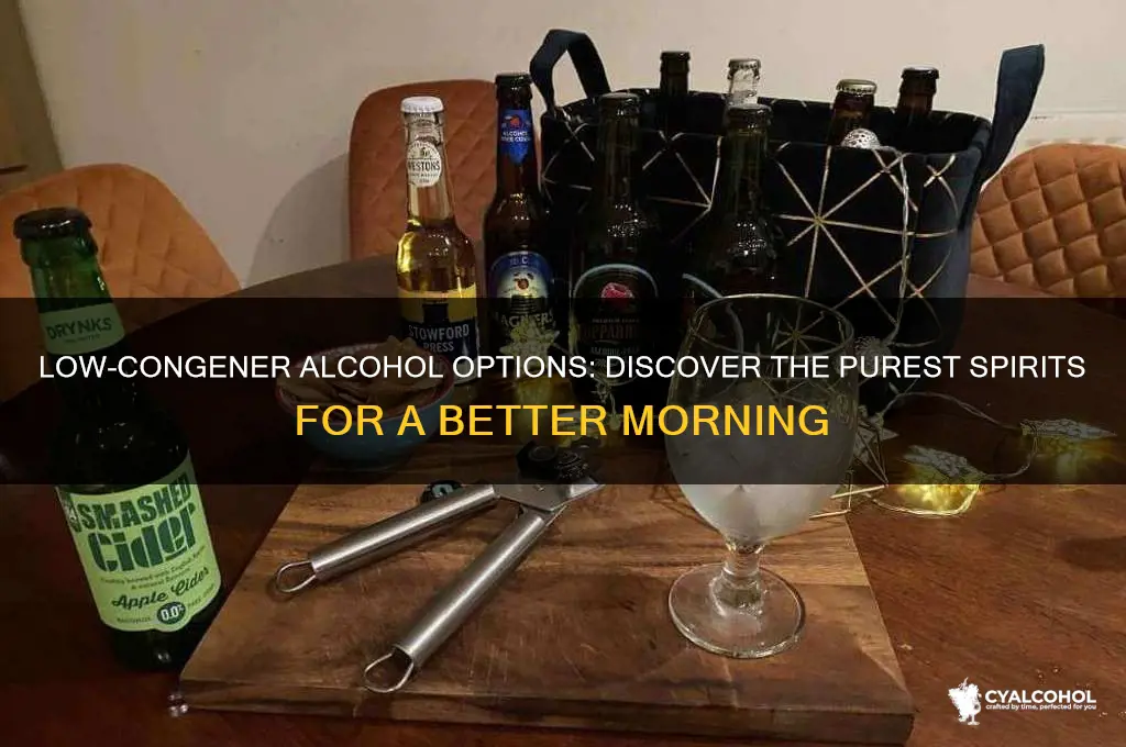 Low-Congener Alcohol Options: Discover The Purest Spirits For A Better ...