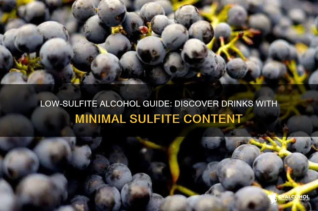 Low-Sulfite Alcohol Guide: Discover Drinks With Minimal Sulfite Content ...