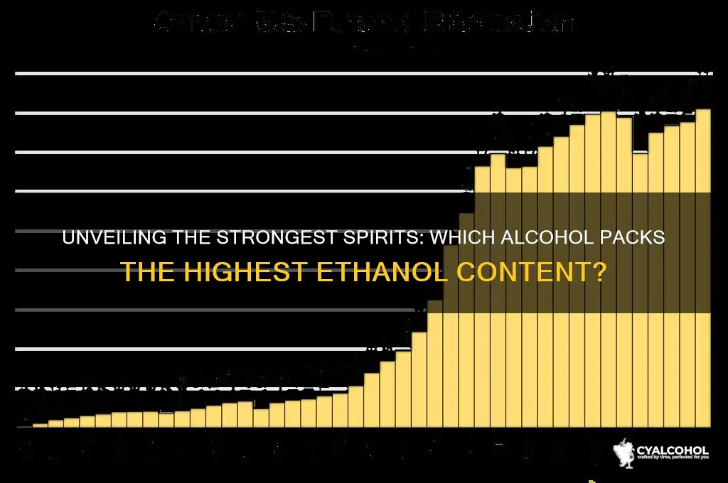 Unveiling The Strongest Spirits: Which Alcohol Packs The Highest ...