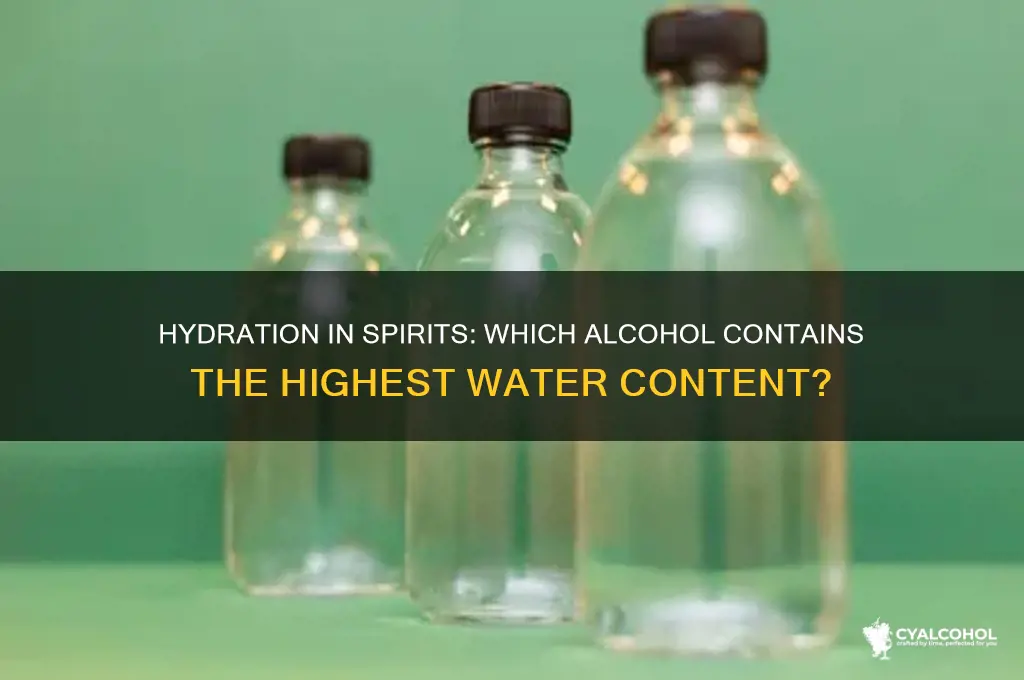 Hydration In Spirits: Which Alcohol Contains The Highest Water Content ...