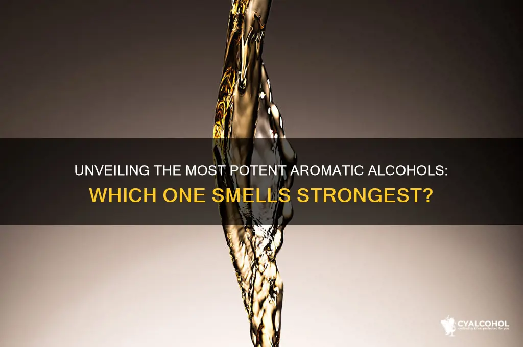 Unveiling The Most Potent Aromatic Alcohols: Which One Smells Strongest ...