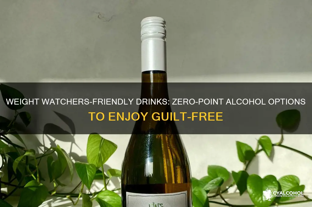 Weight Watchers-Friendly Drinks: Zero-Point Alcohol Options To Enjoy ...