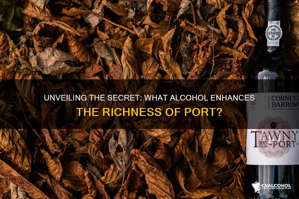 Unveiling The Secret: What Alcohol Enhances The Richness Of Port ...