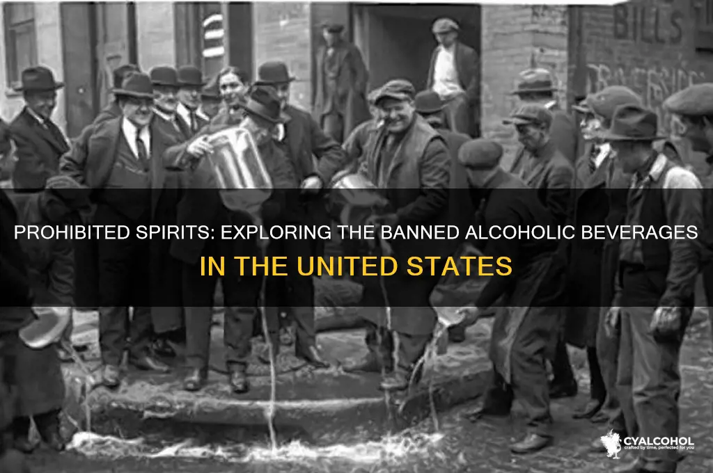 Prohibited Spirits: Exploring The Banned Alcoholic Beverages In The ...