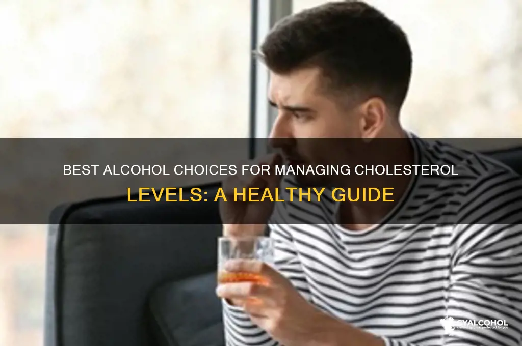Best Alcohol Choices For Managing Cholesterol Levels: A Healthy Guide ...