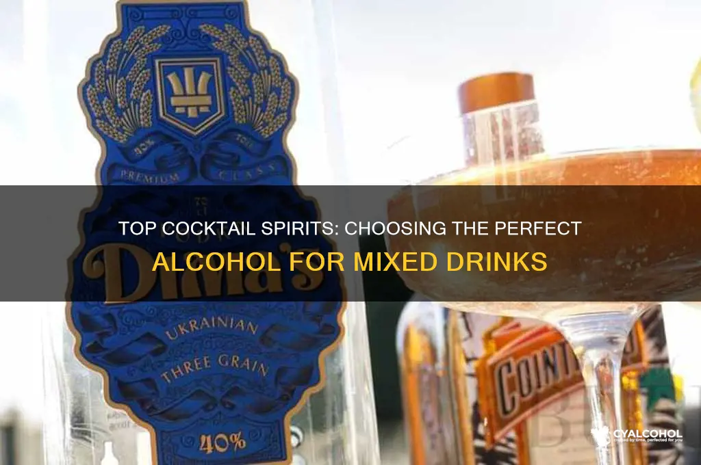 Top Cocktail Spirits: Choosing The Perfect Alcohol For Mixed Drinks ...