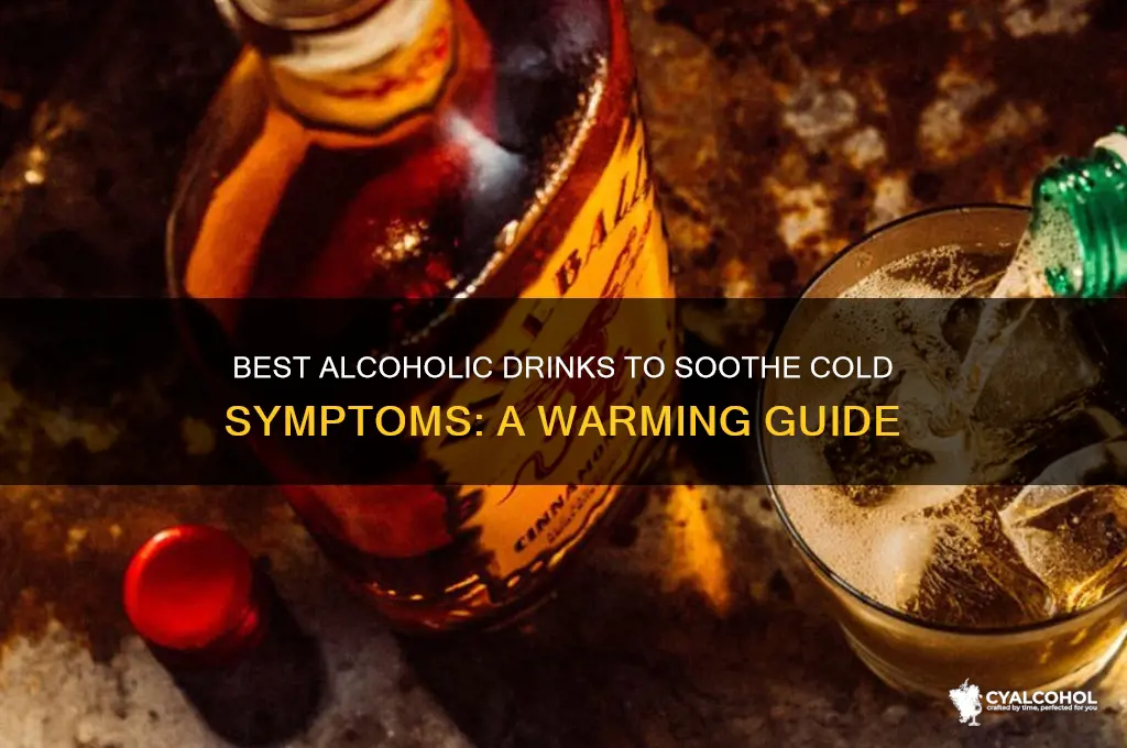 Best Alcoholic Drinks To Soothe Cold Symptoms: A Warming Guide | CyAlcohol