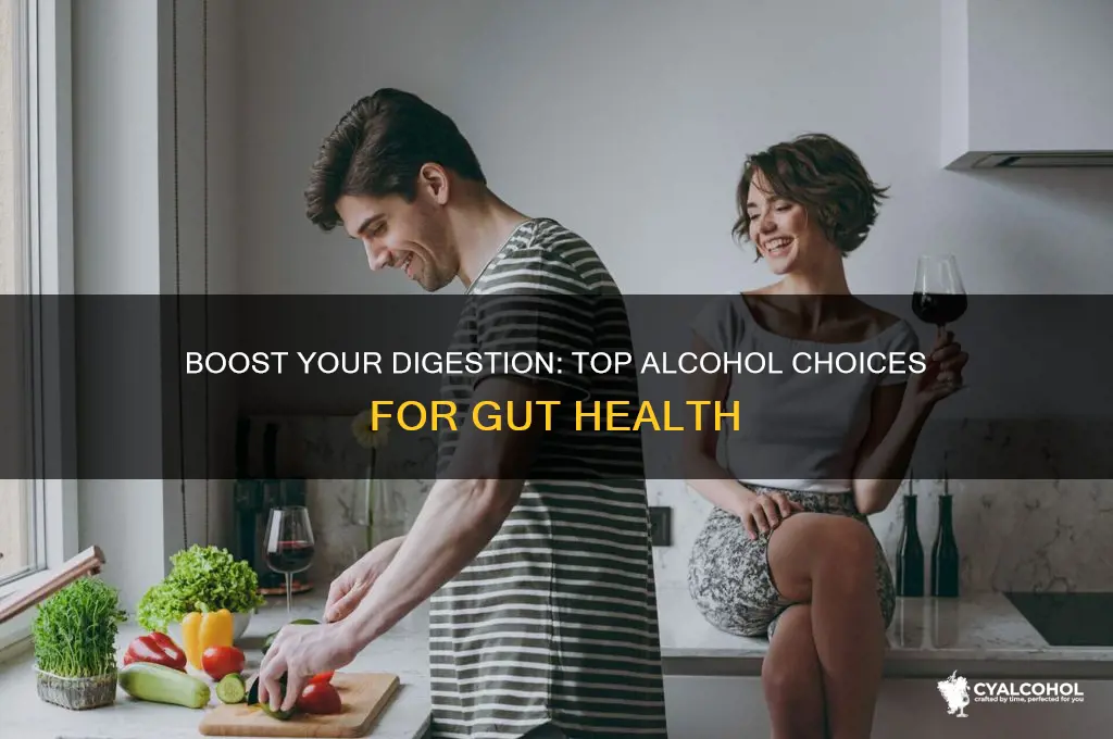 Boost Your Digestion: Top Alcohol Choices For Gut Health | CyAlcohol